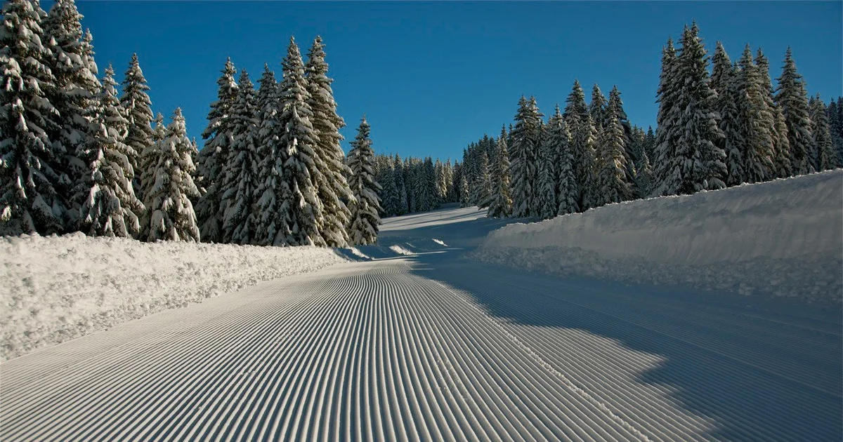 Contact Us | VIP SKI