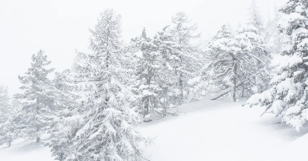 Essential Holiday Information - VIP SKI