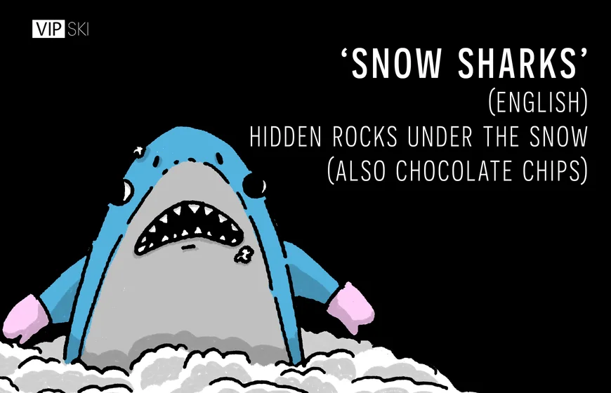 Ski Slang Terms and Glossary | VIP SKI Blog